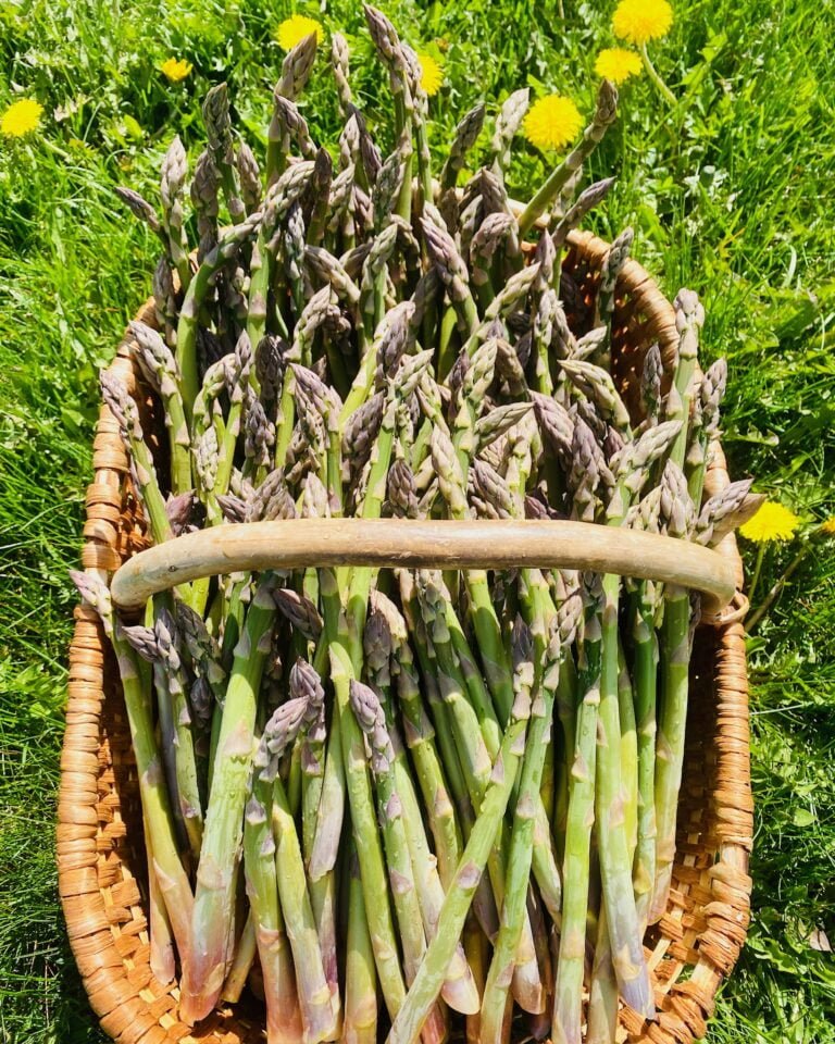 Leleko – Ukrainiečių restoranas Vilniuje